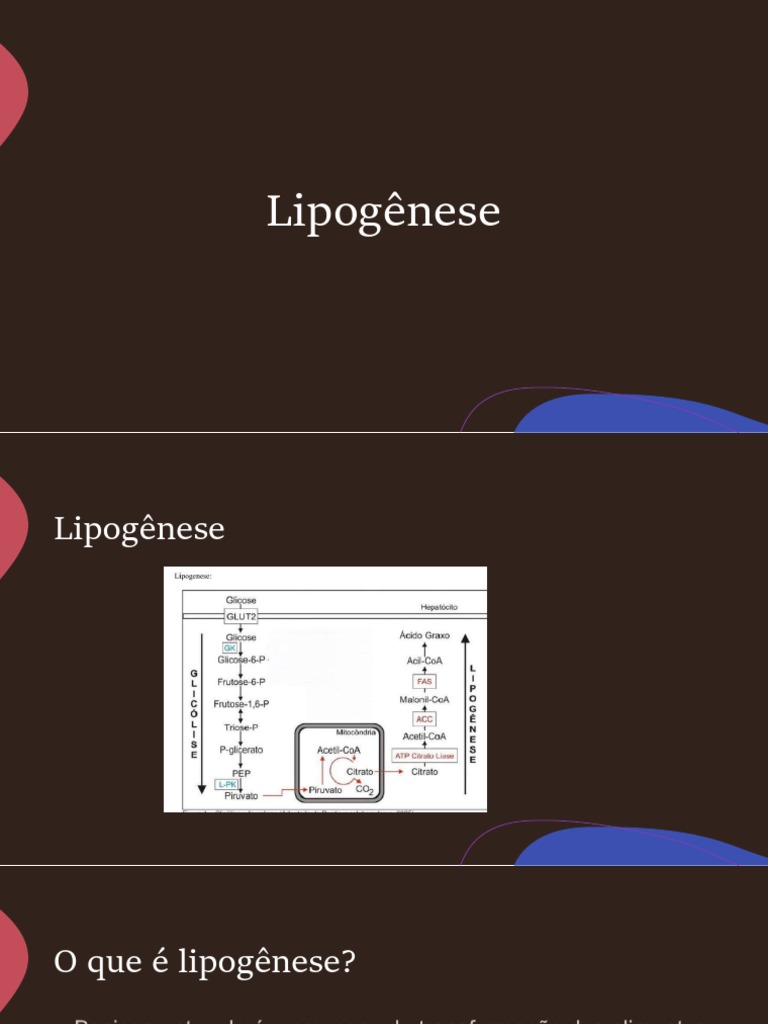 Lipogênese, Lipólise, Necrose e Apoptose | PDF