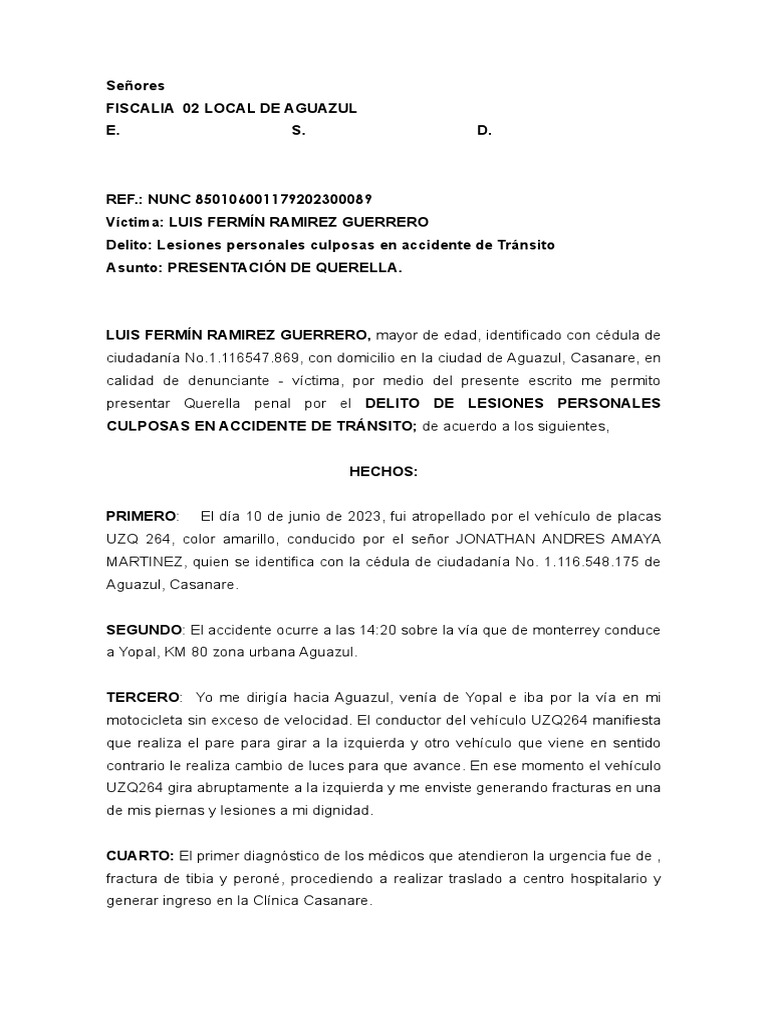 Querella Luis Fermin | PDF | Queja | Justicia