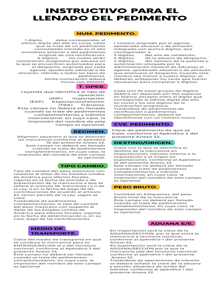 Instructivo para El Llenado Del Pedimento | PDF | aduana | Moneda