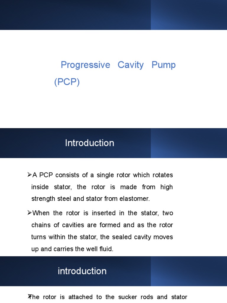 PCP Presentation | PDF | Pump | Electric Motor