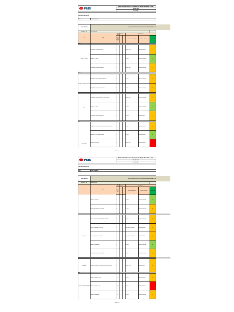 MODELO Matriz Iper Manejo Manual de Carga | PDF | Transporte