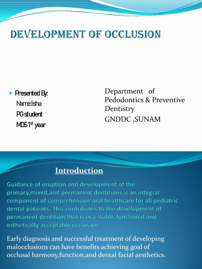 Development of Occlusion (Seminar 1) | PDF | Tooth | Dental Anatomy