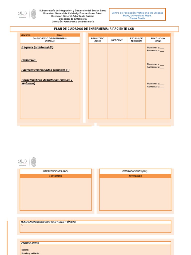 FORMATO PARA PLACES.-1 (1) | PDF