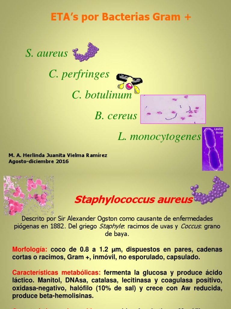ETA'S Por Gram (-) | PDF | Staphylococcus Aureus | Enfermedades ...