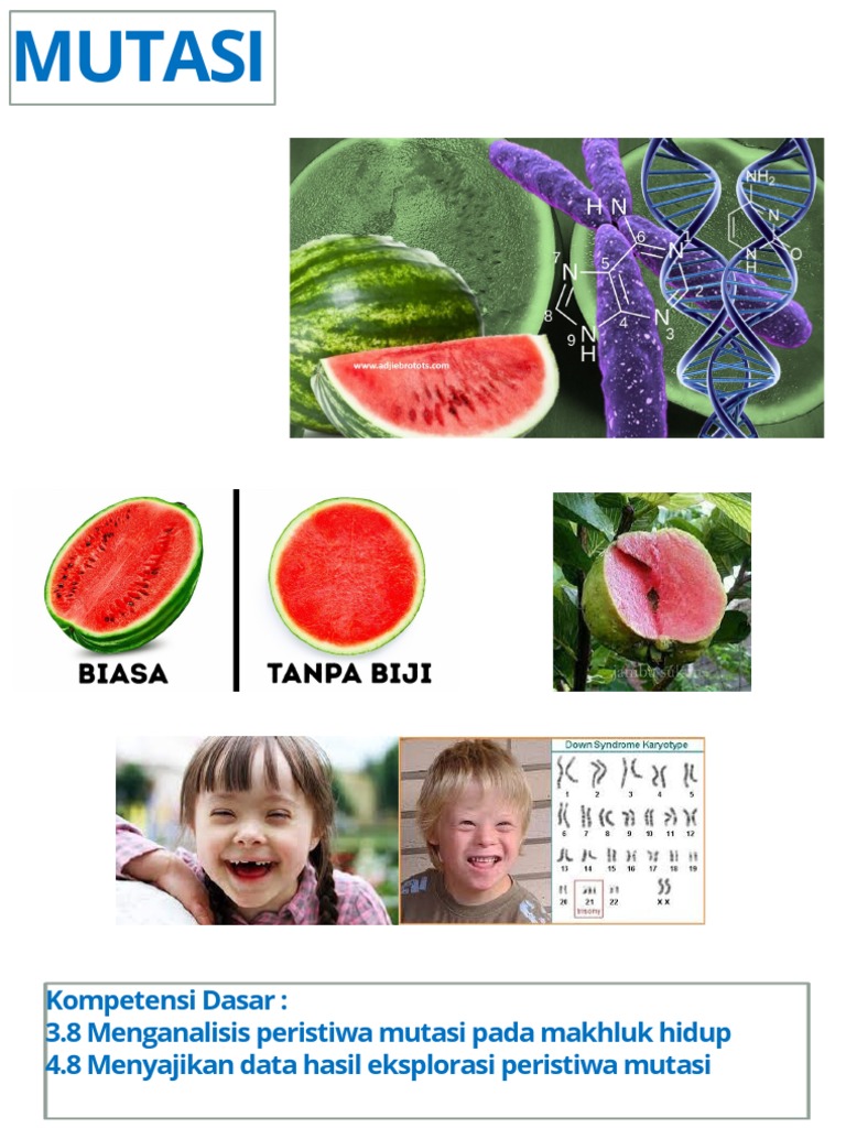 Jenis dan Penyebab Mutasi Gen | PDF