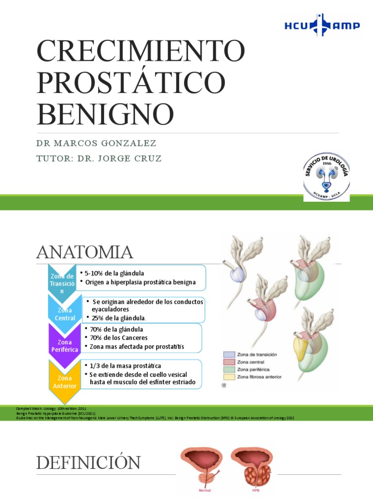 Hiperplasia Prostática: Anatomía y Diagnóstico | PDF | Antígeno ...