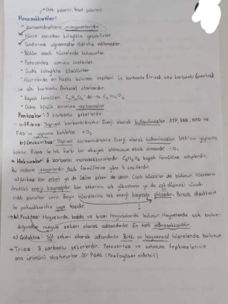 9.sinif Biyoloji Ders Calisma Notlari | PDF