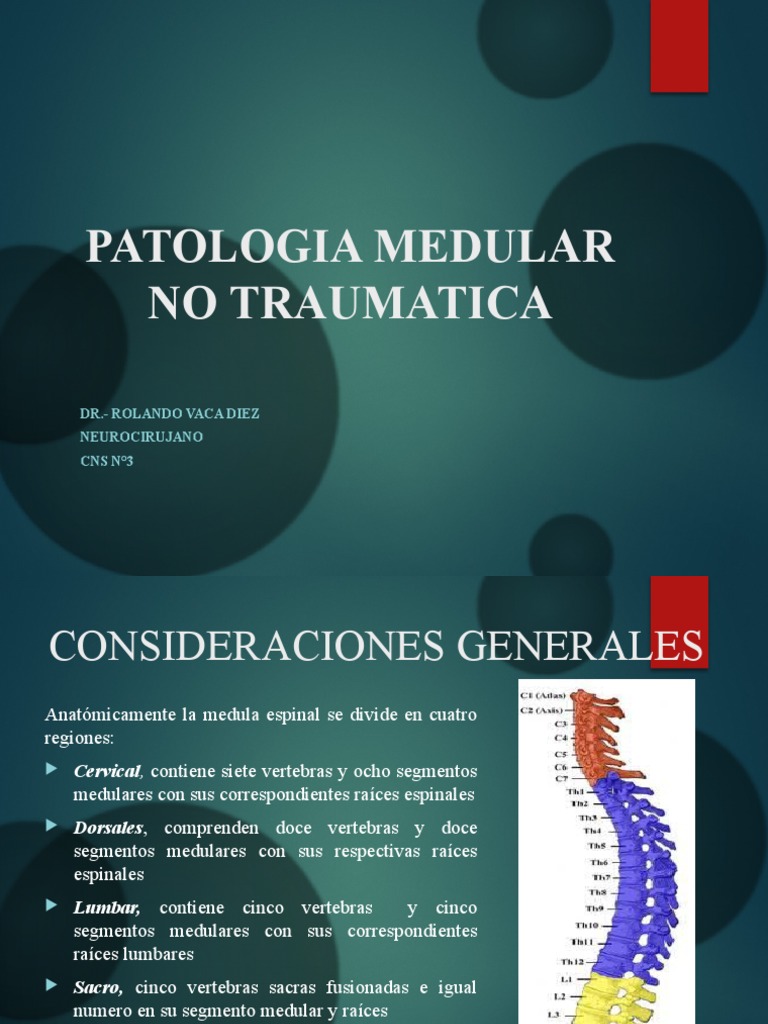 Patologia Medular No Traumatica Udabol | PDF | Médula espinal | Cáncer