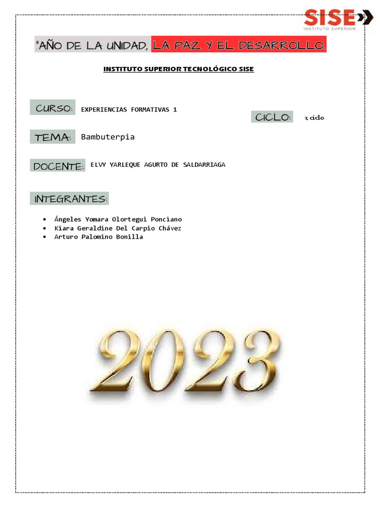 Introducción Bambu 2 | PDF | Masaje | Enfermedades y trastornos