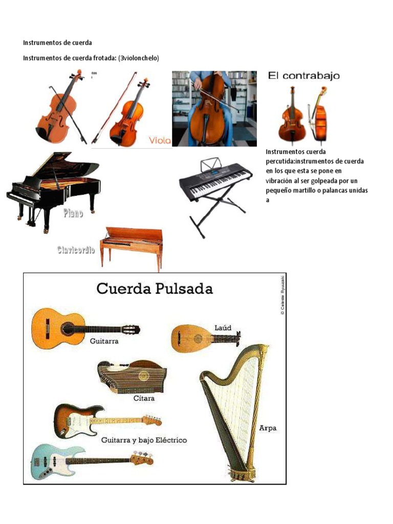 Tipos de instrumentos de cuerda | PDF