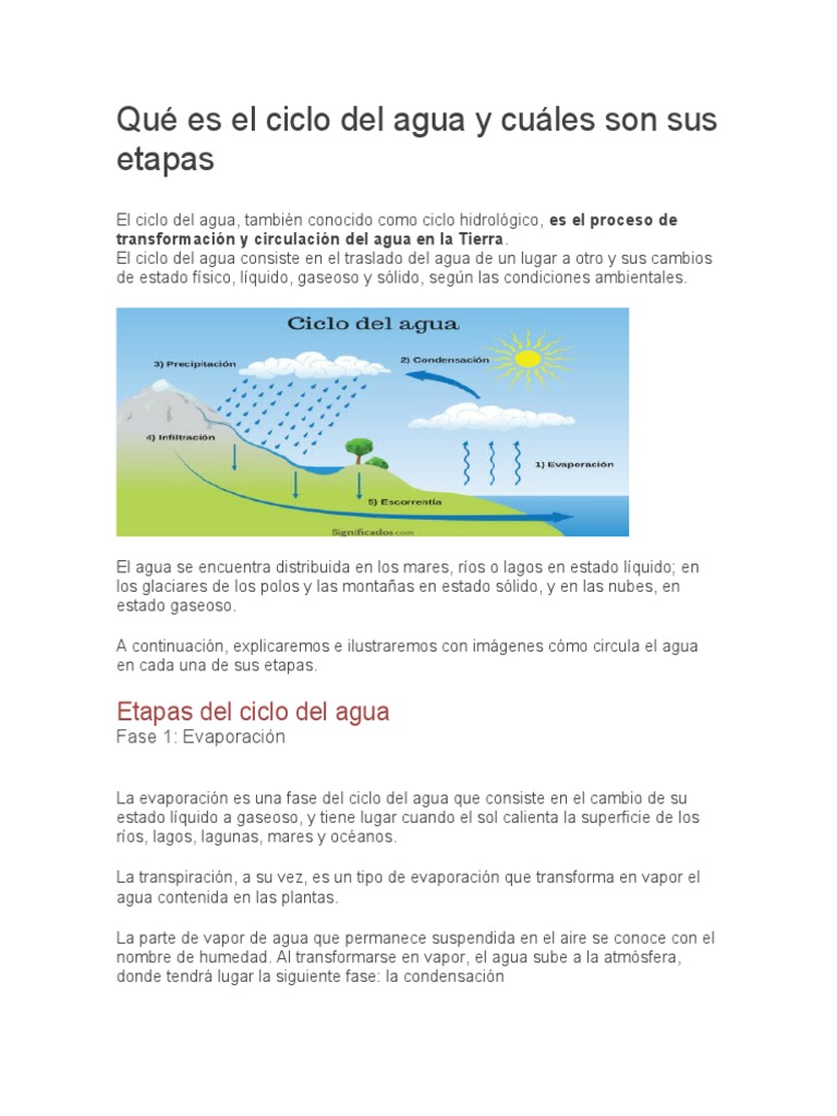 Ciclo Del Agua | PDF | El ciclo del agua | Agua