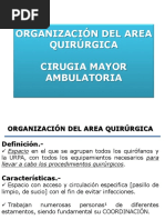 Suboclusion Intestinal | PDF | Enfermedades digestivas | Gastroenterología