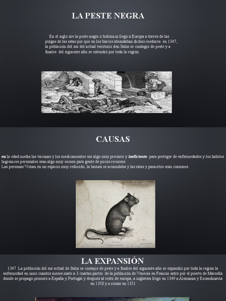 Resumen de la Peste Negra | PDF | Muerte negra | Desastres de salud