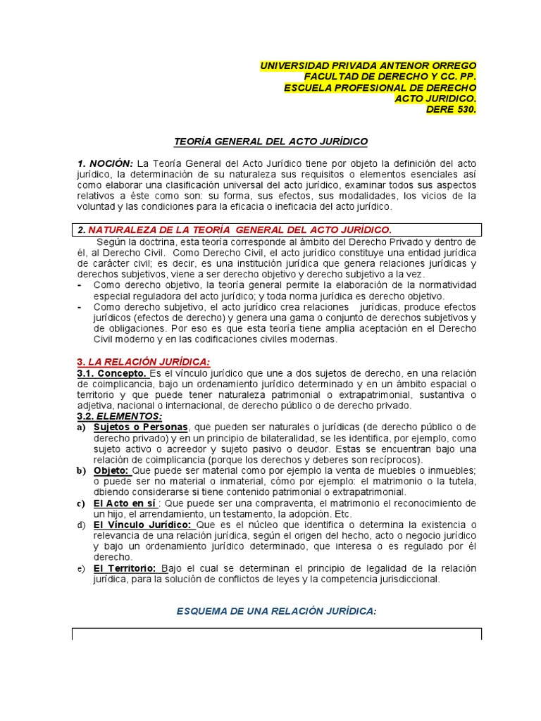 Separata+Acto+Jurídico +UPAO +2022 | PDF | Guardián legal | Invalidez