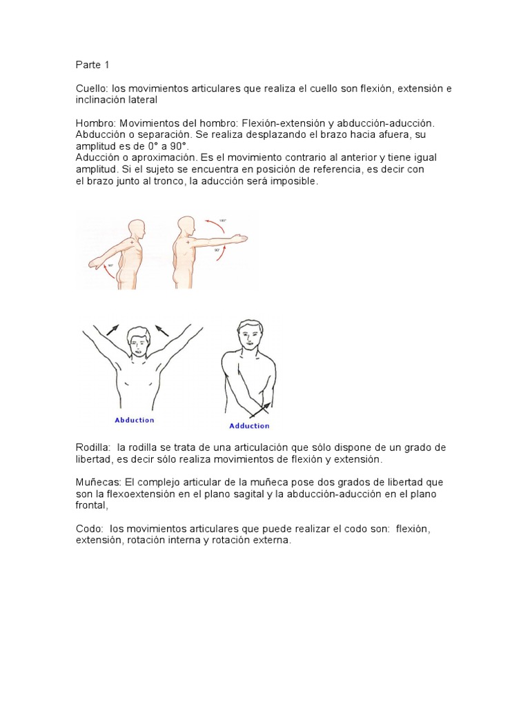 Trabajo Articulaciones | PDF | Codo | Hombro