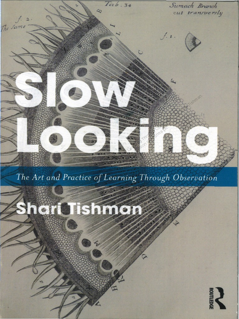 Shari Tishman Slow Looking Ch2 p26-27FINALWM | PDF
