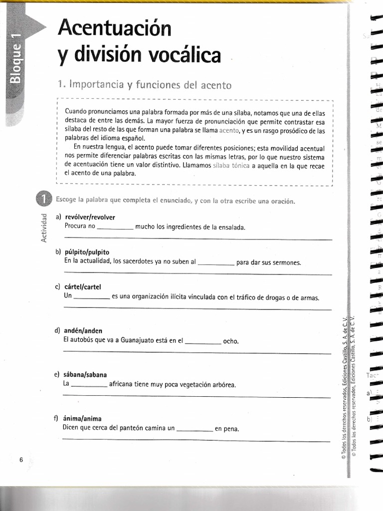Acentuación y División Vocálica | PDF | Sílaba | Cerebro