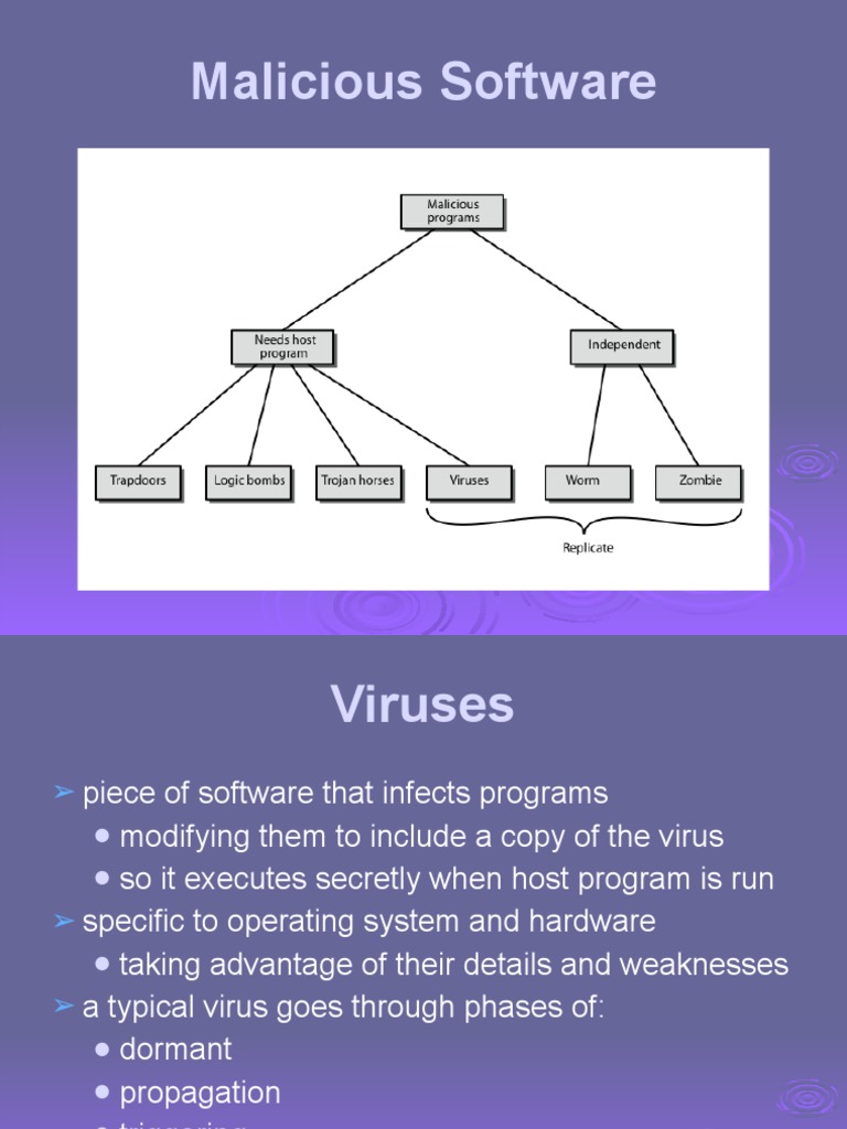 Malicious Software | PDF | Computer Virus | Antivirus Software