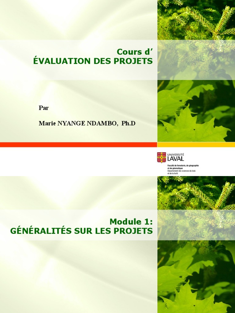 Evaluation Des Projets 2022 | PDF | Planification | Environnement naturel
