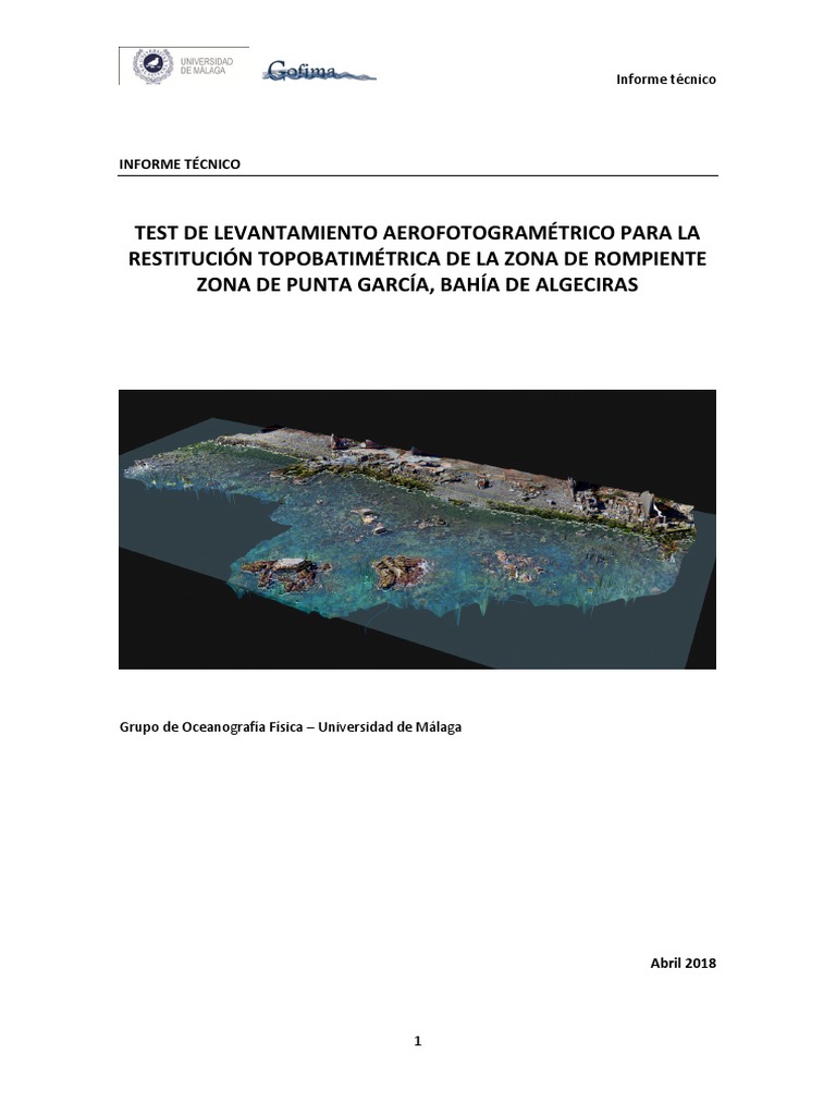 Informe Levantamiento Dron | PDF