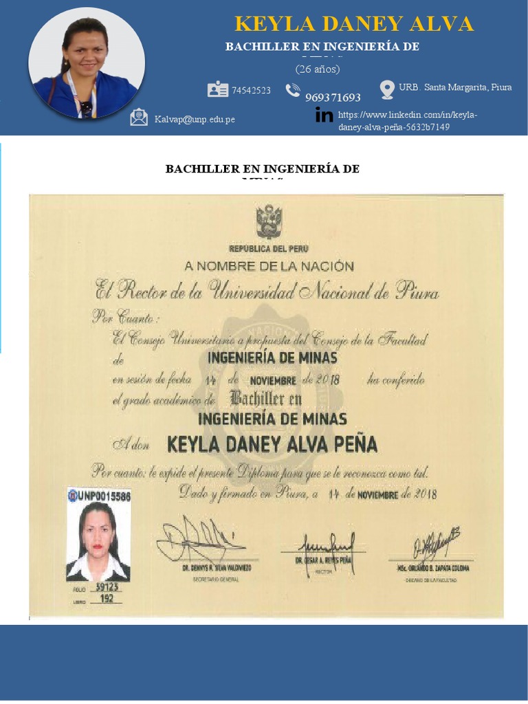 Perfil Profesional de Keyla Daney Alva | PDF