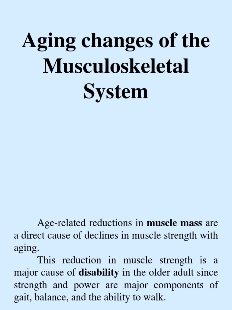 Aging Changes of The Musculoskeletal System | PDF | Muscle | Axon