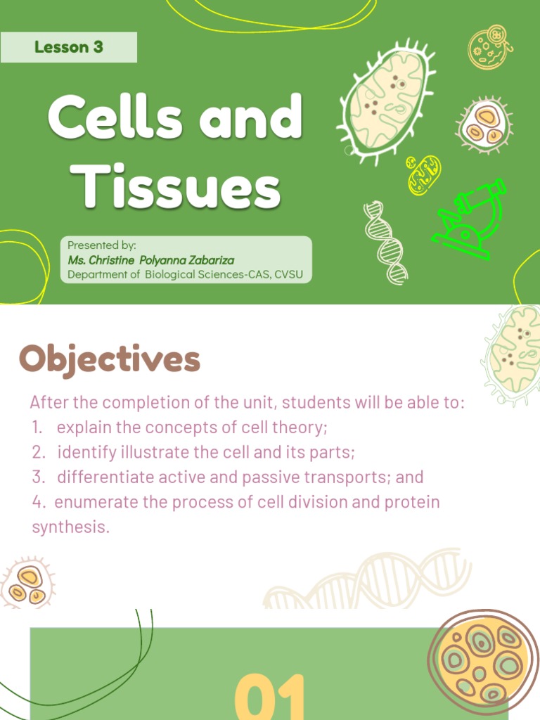 3-Cells and Tissues | PDF | Epithelium | Rna
