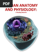 Gummy Bear Lab | PDF | Anatomical Terms Of Location | Animal Physiology