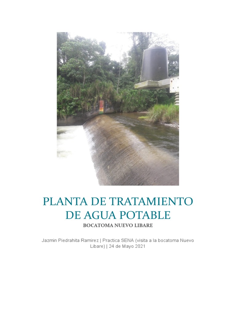 Informe Planta de Tratamiento de Agua Potable | PDF | Agua | Agua potable