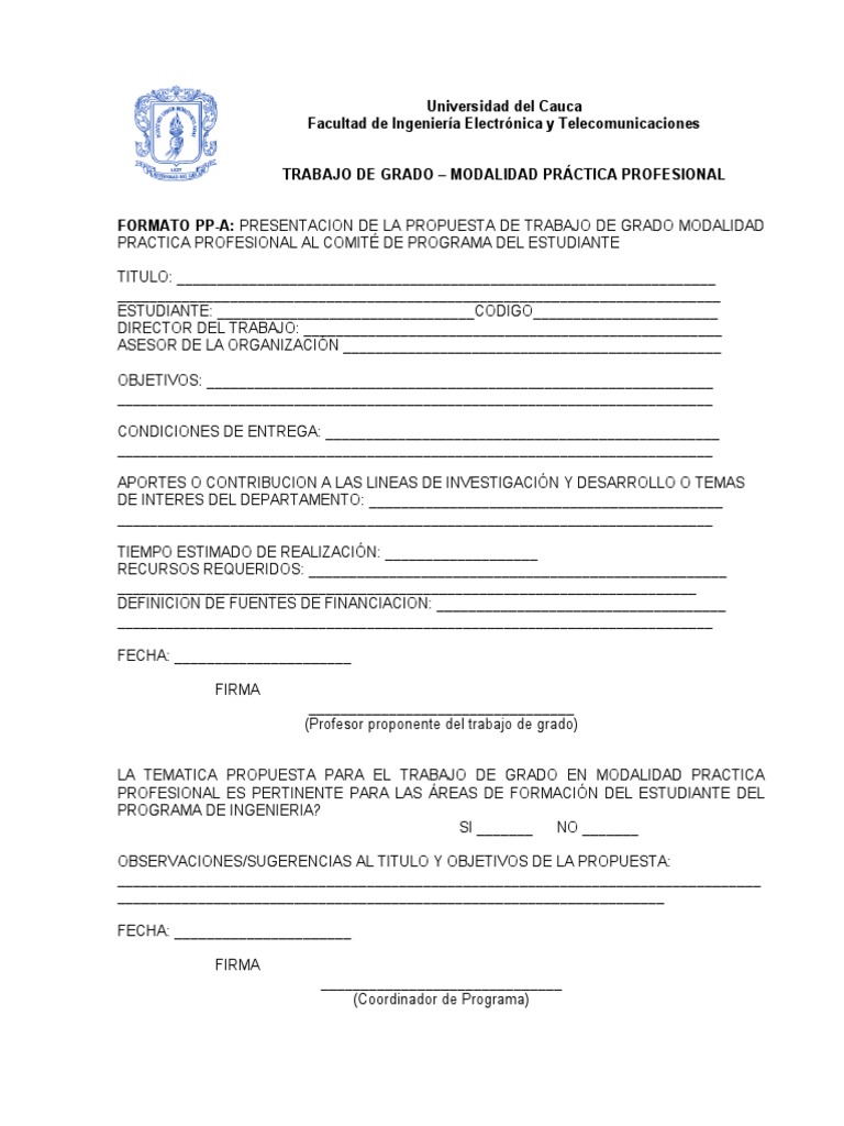 Formatos Practica Profesional 06 11 2020 Pdf