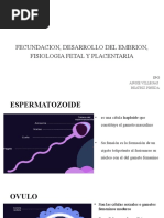 Origen Embrionario de los Tejidos Humanos | PDF | Embrión | Biología ...