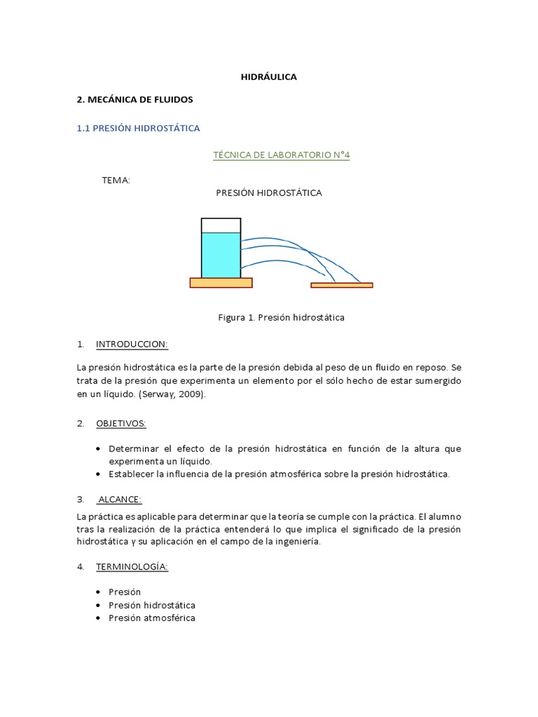 Práctica 4. Presión hidrostática | PDF | Presión | Líquidos