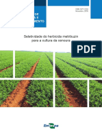 Catalogo Sementes Brasmax | PDF | Agricultura