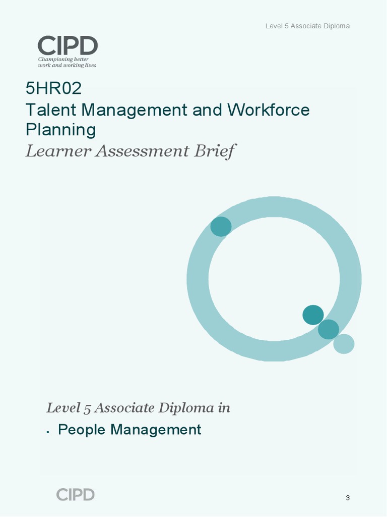 Assessment Brief - 5HR02 | PDF | Human Resource Management | Talent ...