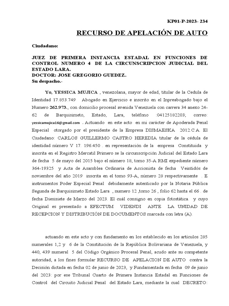Recurso de Apelación Formato | PDF | Judicaturas | Debido al proceso