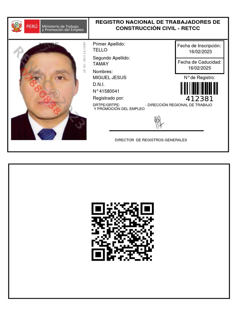 Carnet RETCC: Registro y Detalles | PDF