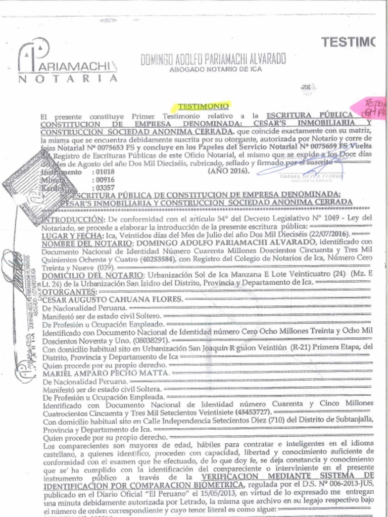 Modelo-Testimonio de Constitución de La Sociedad Anónima | PDF