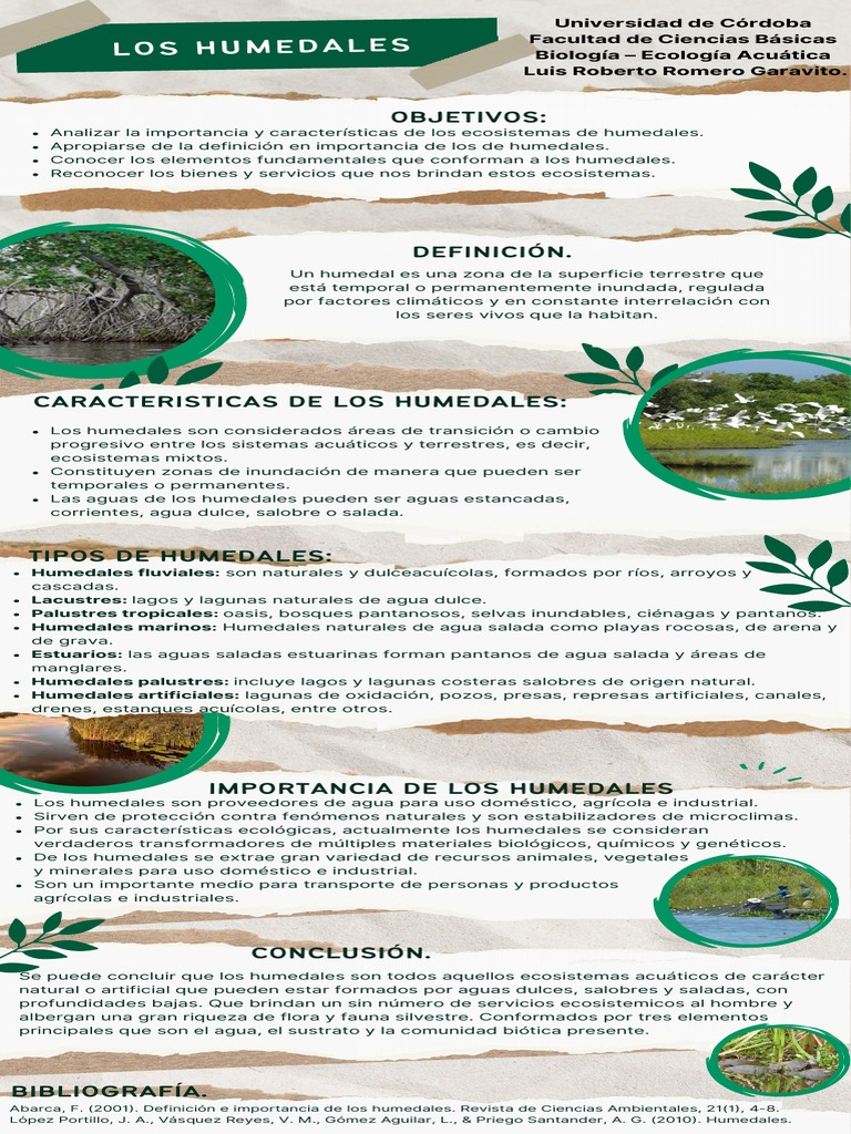 HUMEDALES | PDF | Humedal | lago