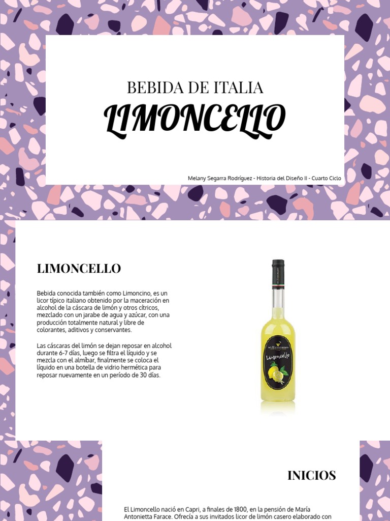 Segarra Melany - Bebida Italia | PDF | Comida y bebida | Alcohol