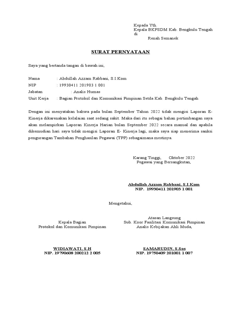 Surat Pernyataan Tidak Mengisi Ekin | PDF