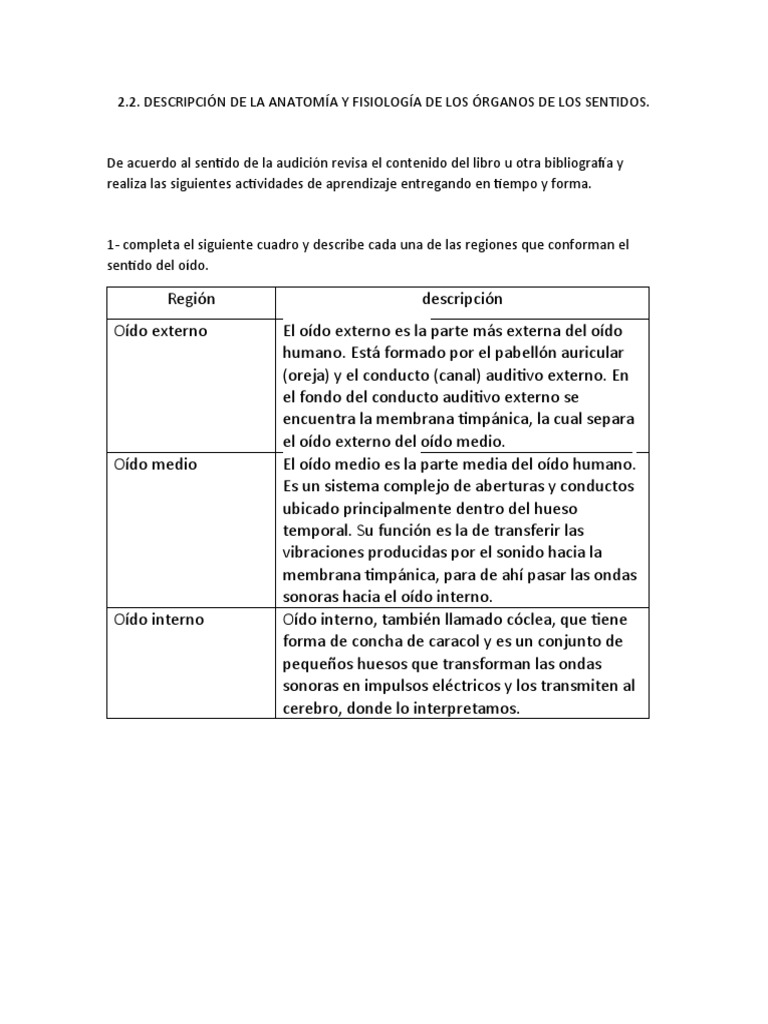 Sentido Auditivo | PDF | Oído | Escuchando