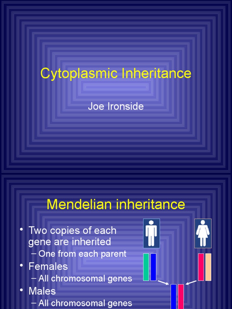 Cytoplasmic Inheritance | PDF | Eukaryotes | Mitochondrion