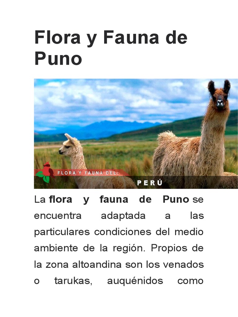 Flora y Fauna de Puno | PDF | Organismos