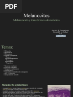 Tipos de Facies y sus Características | PDF | Anatomía humana ...