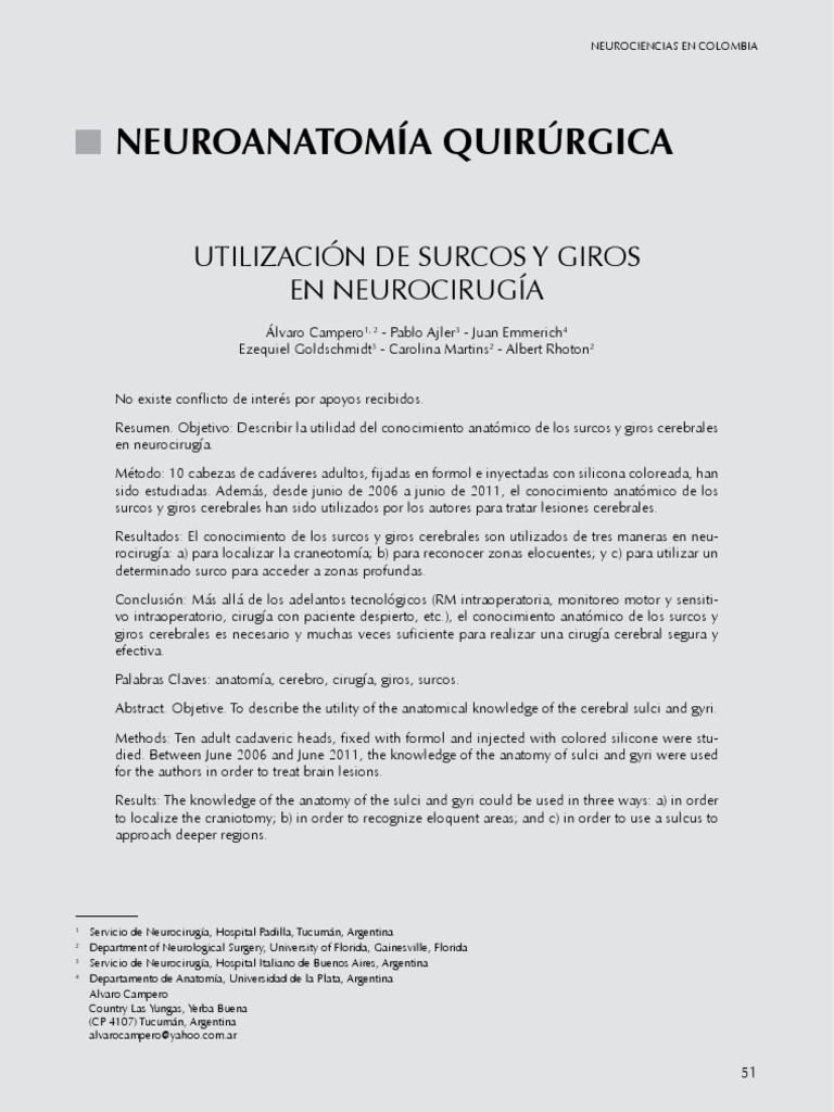 Utilizacion de Surcos y Suturas | PDF | Lóbulo temporal | Corteza Insular