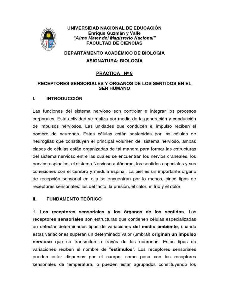 Práctica de Receptores Sensoriales | PDF | Sistema nervioso | Oído