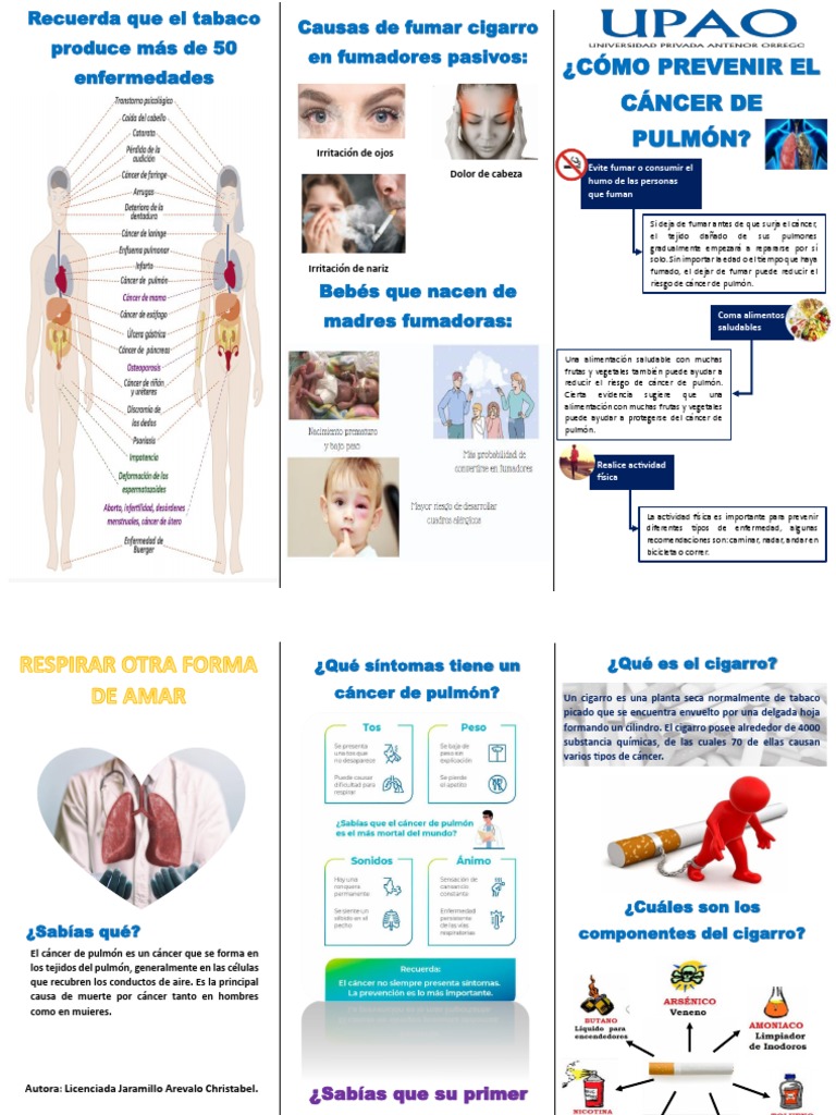 Triptico Del Cáncer de Pulmón | PDF | Cigarrillo | Cáncer de pulmón