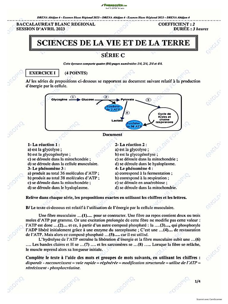 Bac Blancs 2023 Serie D SVT+corro Ferké | PDF