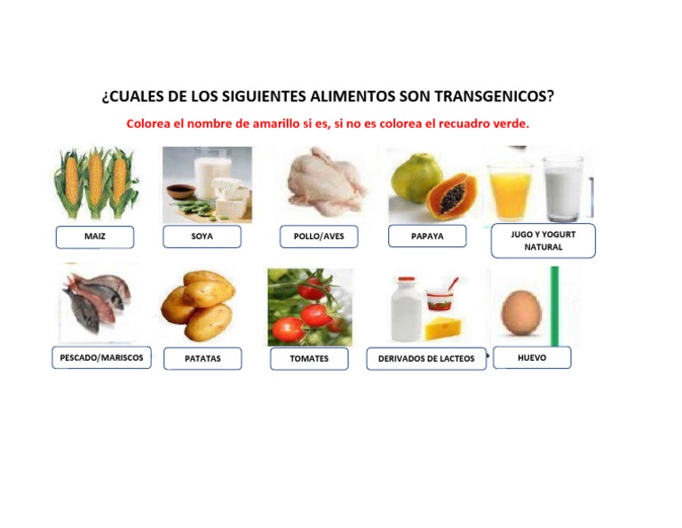 ALIMENTOS TRANSGENICOS | PDF