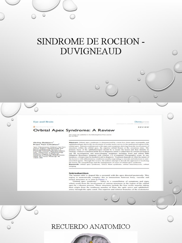 Sindrome de Rochon - Duvigneaud | PDF